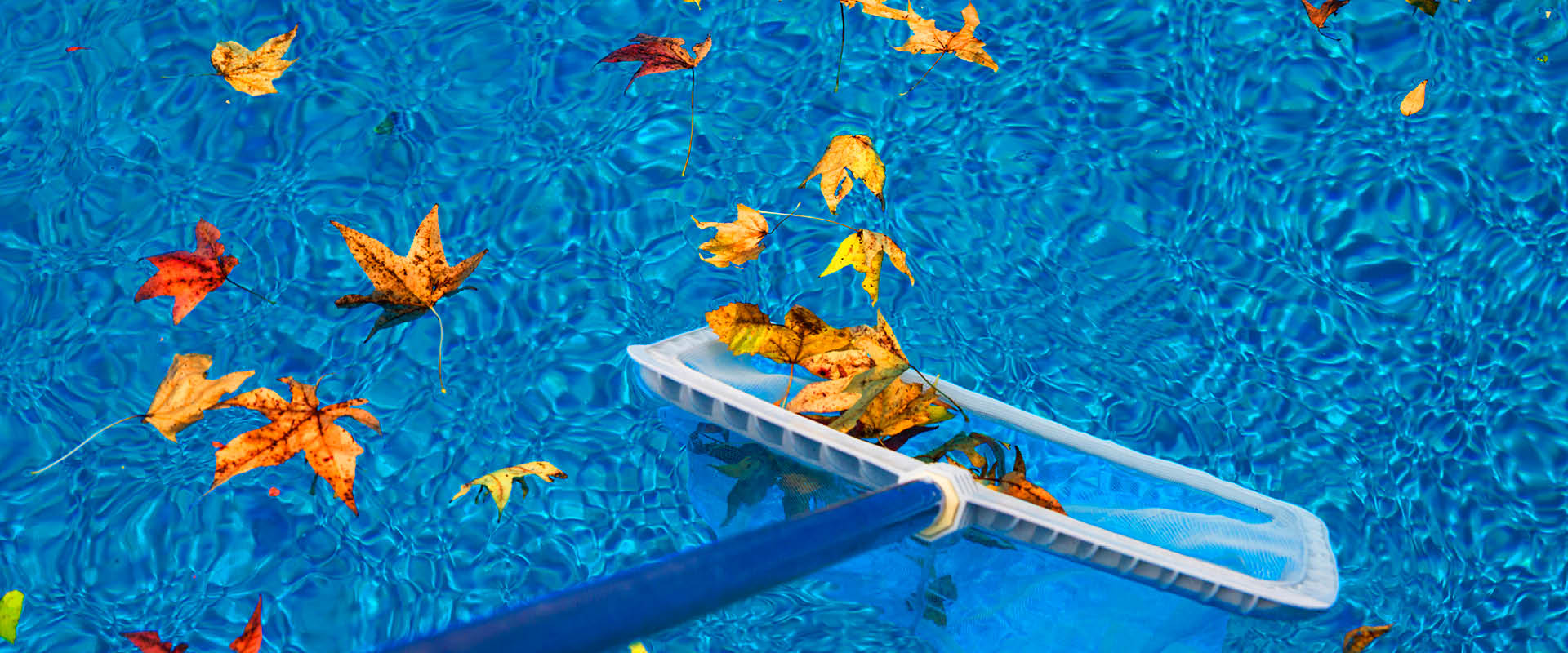 Pool Closing Service - Pioneer Family Pools